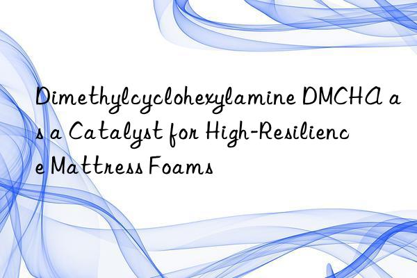 dimethylcyclohexylamine dmcha as a catalyst for high-resilience ...